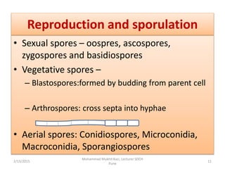 Medical mycology | PPTX