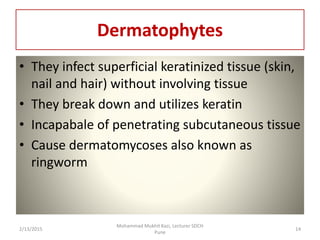 Medical mycology | PPTX