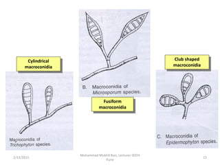 Medical mycology | PPTX