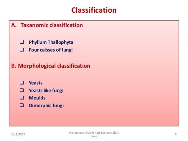 Medical mycology