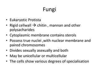 Medical mycology | PPTX