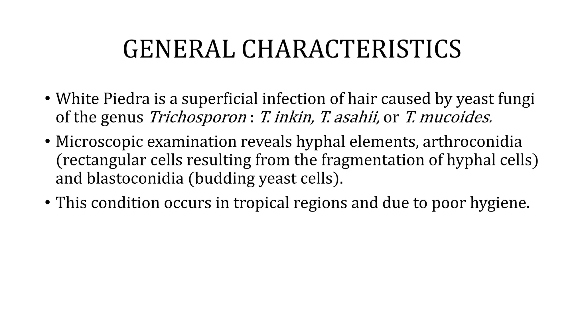 Medical Mycology Black Piedra and White Piedra.pptx