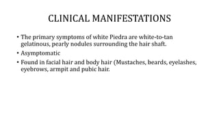 Medical Mycology Black Piedra and White Piedra.pptx