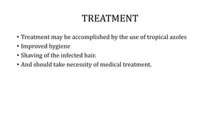 Medical Mycology Black Piedra and White Piedra.pptx