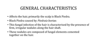 Medical Mycology Black Piedra and White Piedra.pptx