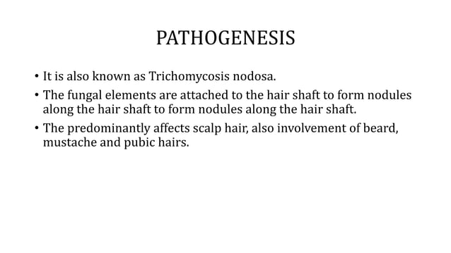 Medical Mycology Black Piedra and White Piedra.pptx | Skin and ...