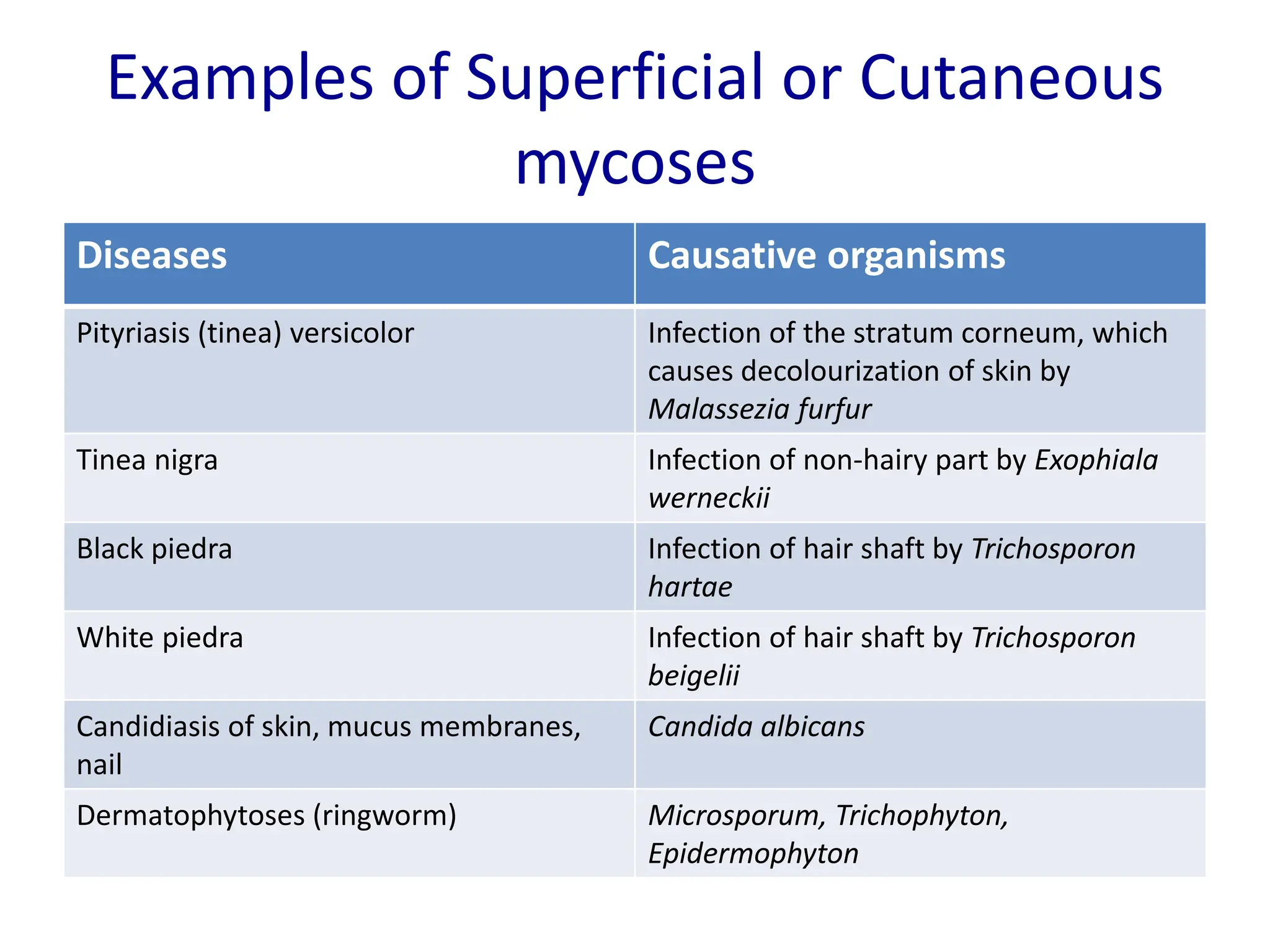 medical classification of fungi with examples.pptx