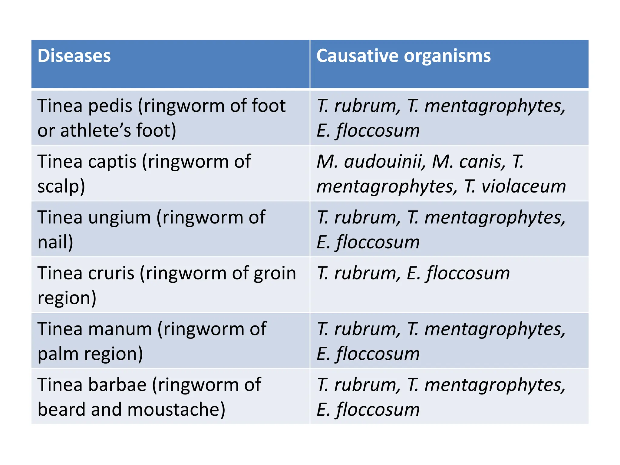 Medical Classification Of Fungi With Examples Pptx