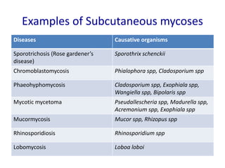 medical classification of fungi with examples.pptx