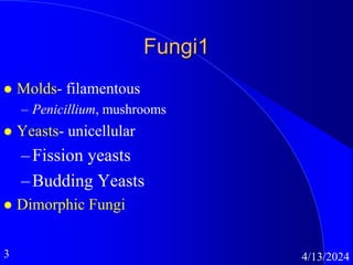 Medical_Mycology.ppt11111111111111111111 | PPT