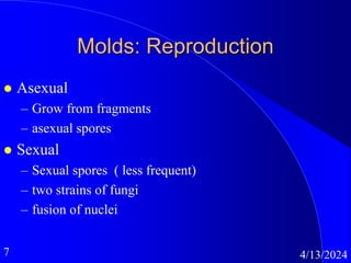 Medical_Mycology.ppt11111111111111111111 | PPT