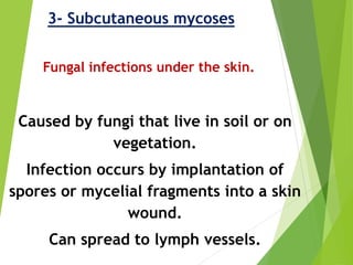 medical mycology containing fungal infections | PPT