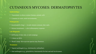 MEDICAL MYCOLOGY - SUPERFICIAL MYCOSIS, CUTANEOUS MYCOSES, SUBCUTANEOUS ...