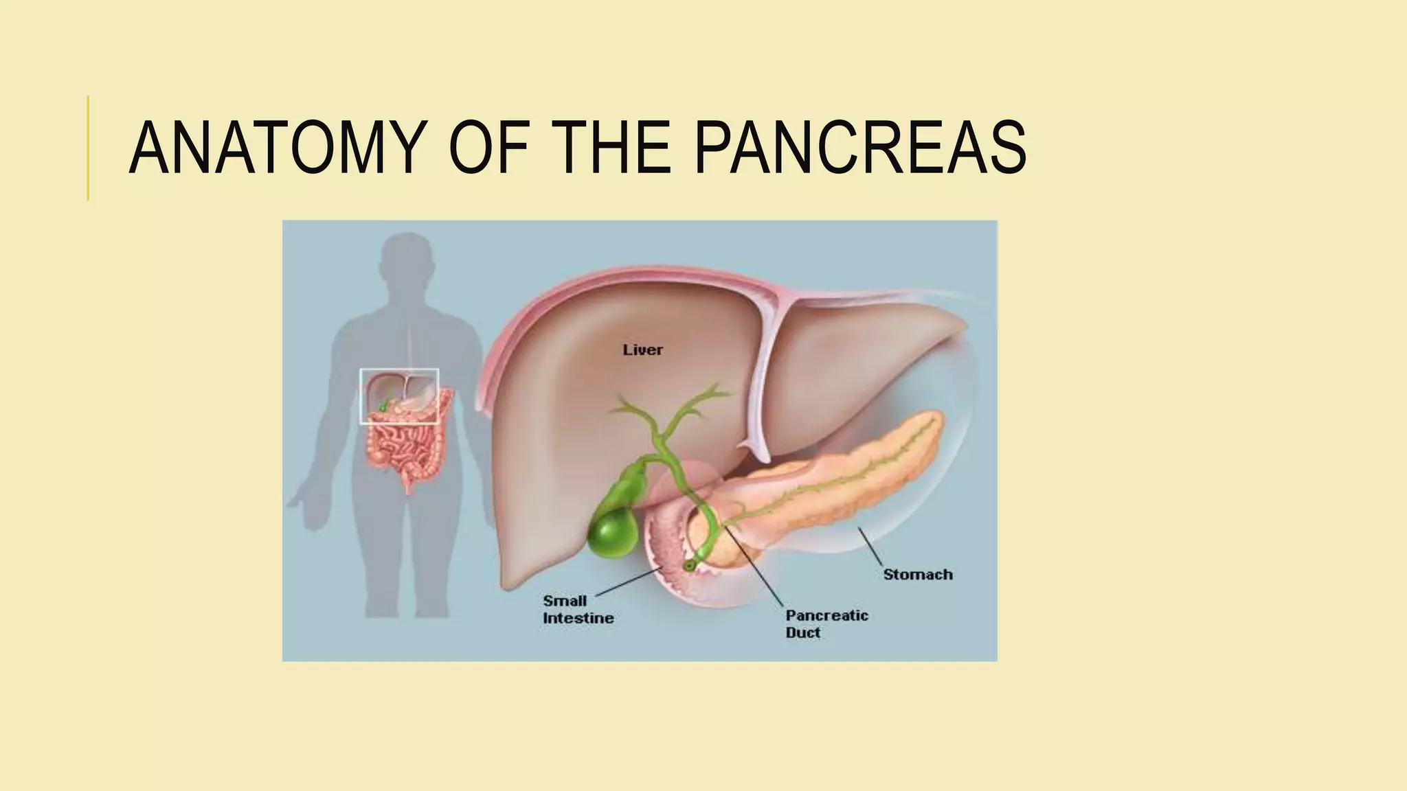 Medical nutrition therapy status post whipple procedure | PPTX