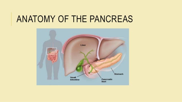 Medical nutrition therapy status post whipple procedure