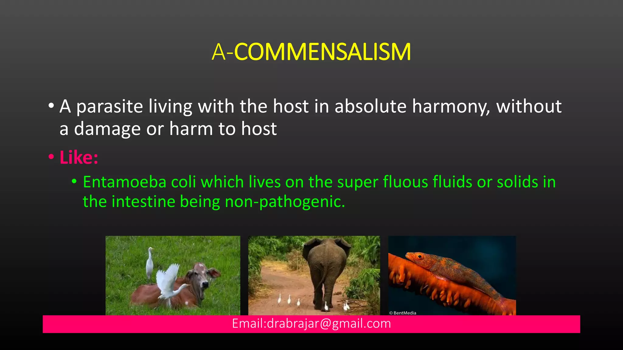 Medical Parasitology Lecture | PDF