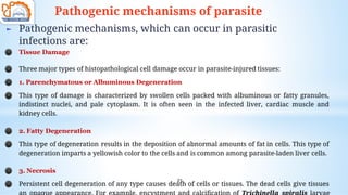 Medical partgfttggyytasitology lec 1.pdf