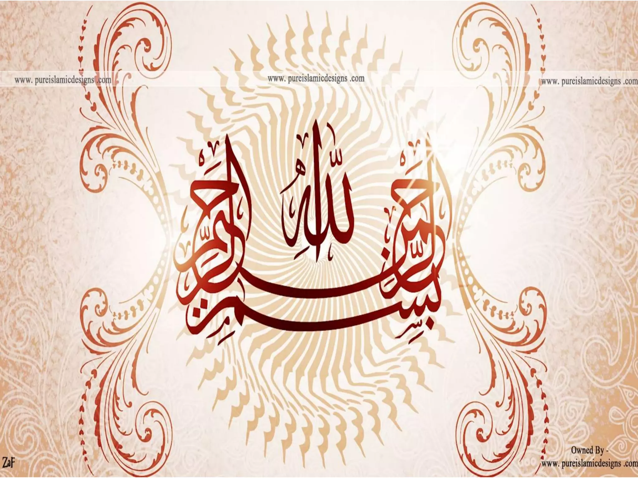 Potential divider | PPTX