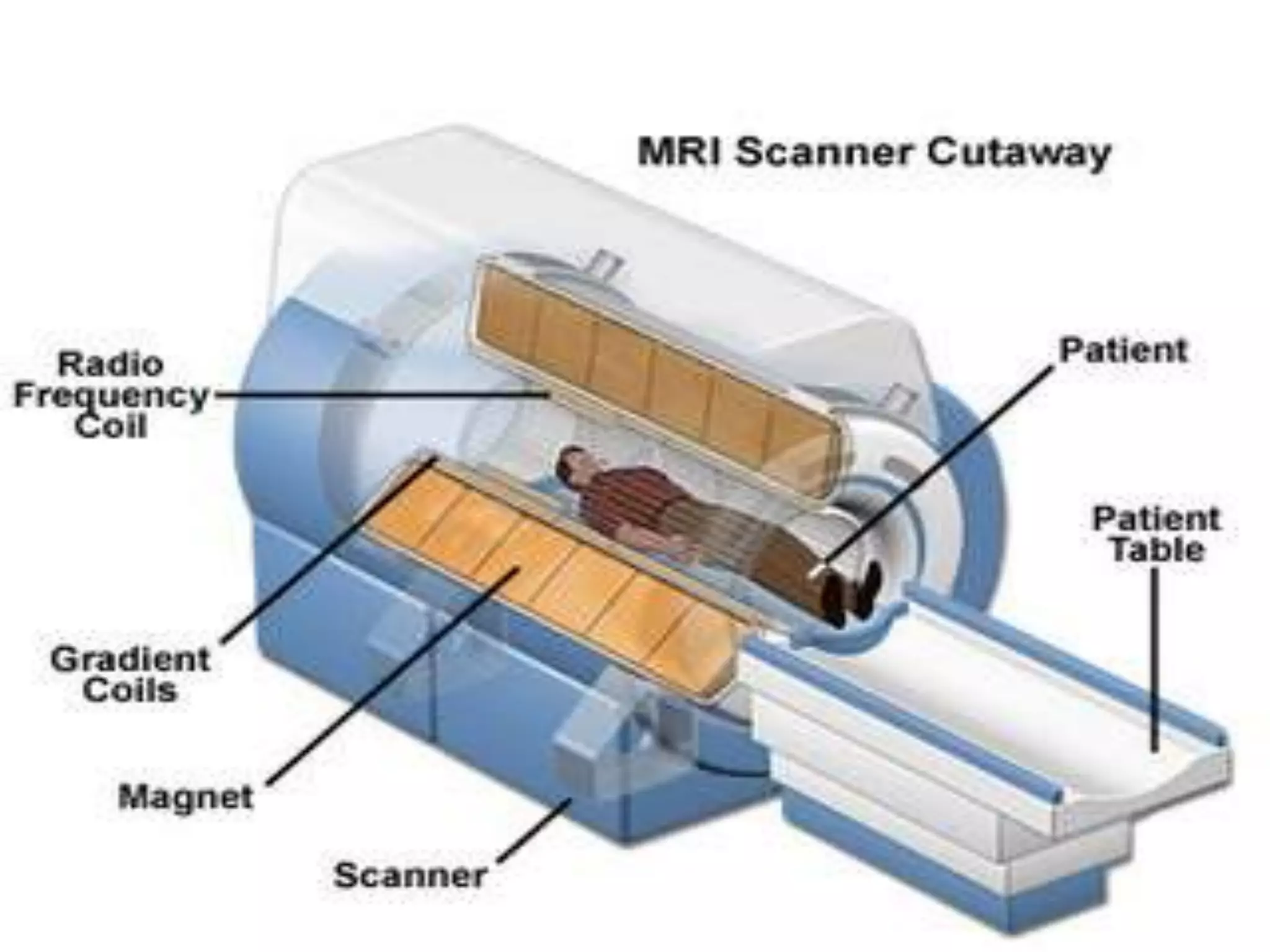 Medical physics slide show | PPSX