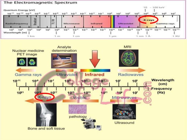 Medical physics slide show | PPSX | Medical Tests | Medical Health