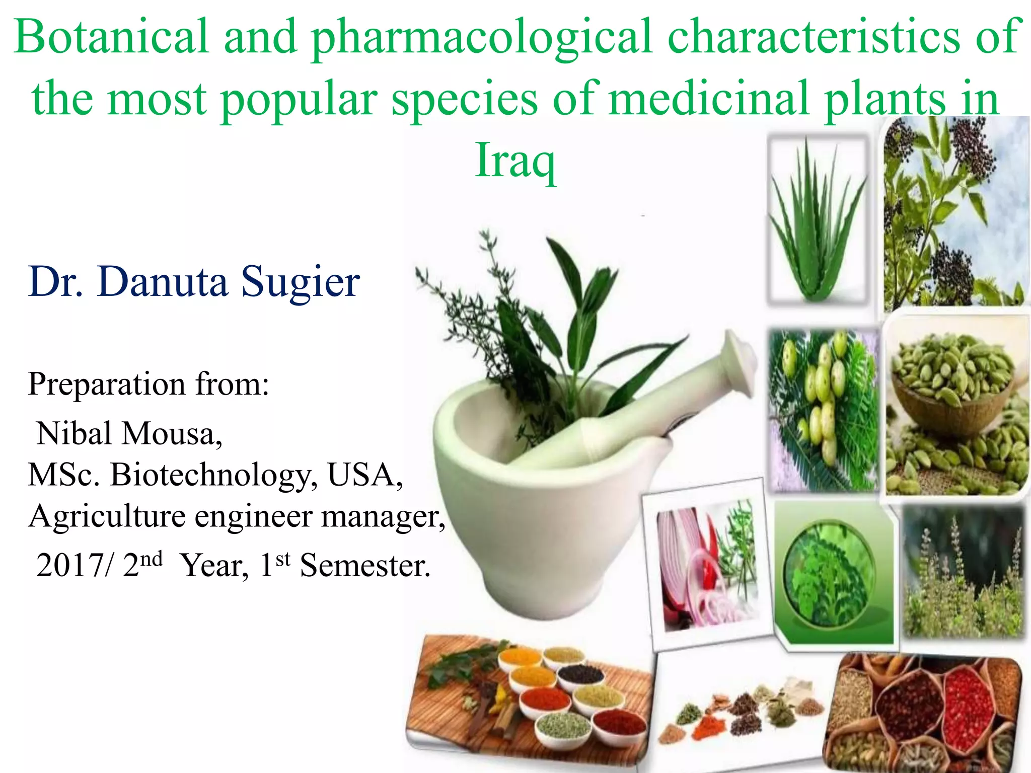 Botanical and pharmacological characteristics of the most popular ...