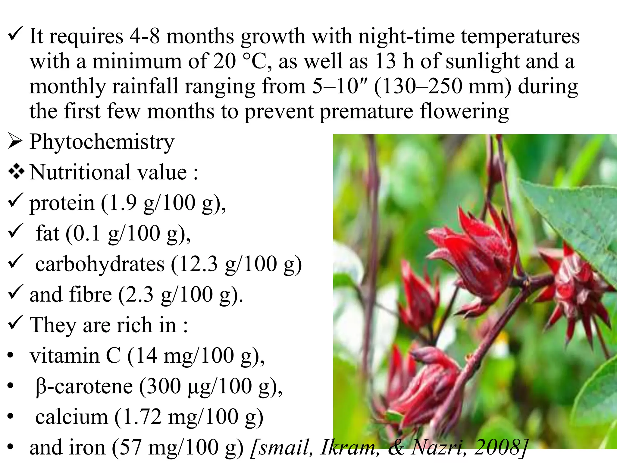 Botanical and pharmacological characteristics of the most popular ...