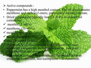 Botanical and pharmacological characteristics of the most popular ...