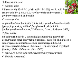 Botanical and pharmacological characteristics of the most popular ...