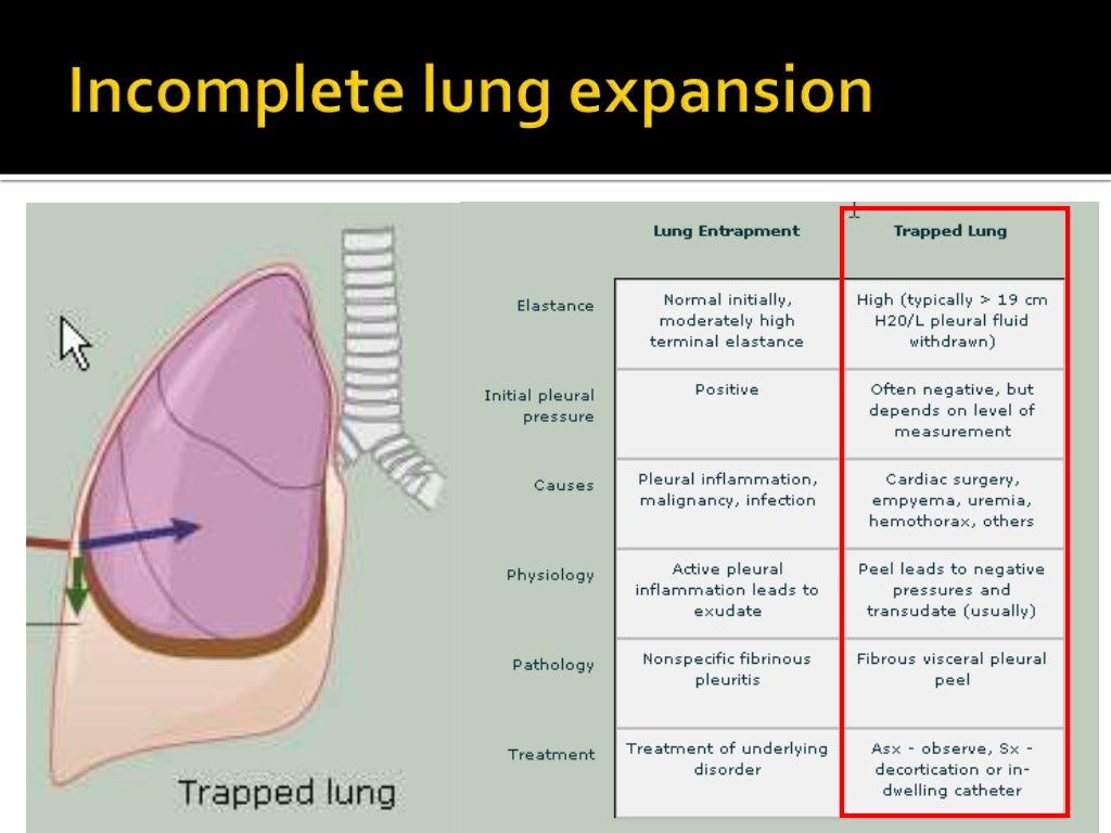 Medical pleurodesis