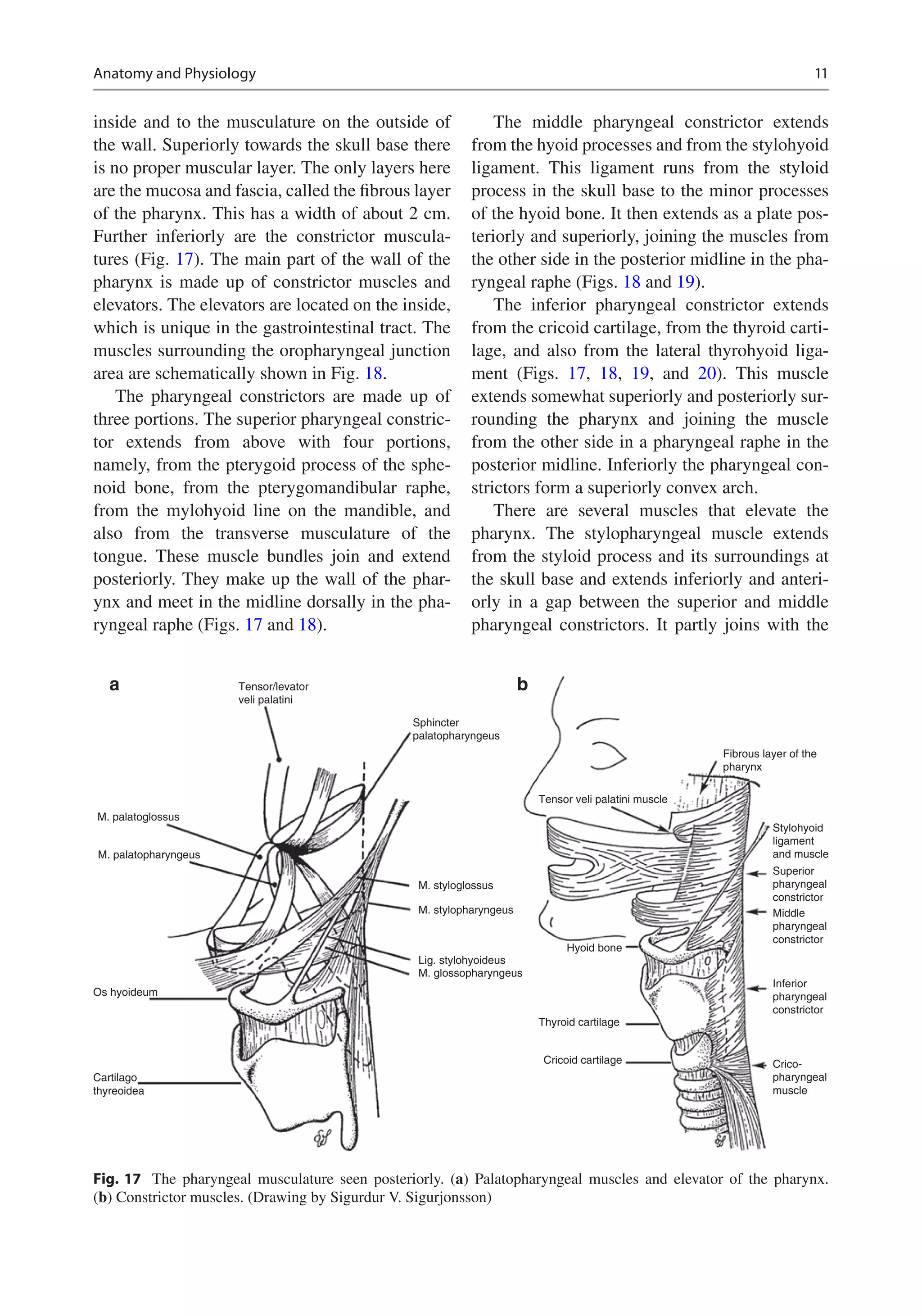 (Medical Radiology) Olle Ekberg - Dysphagia_ Diagnosis and Treatment-Springer International ...