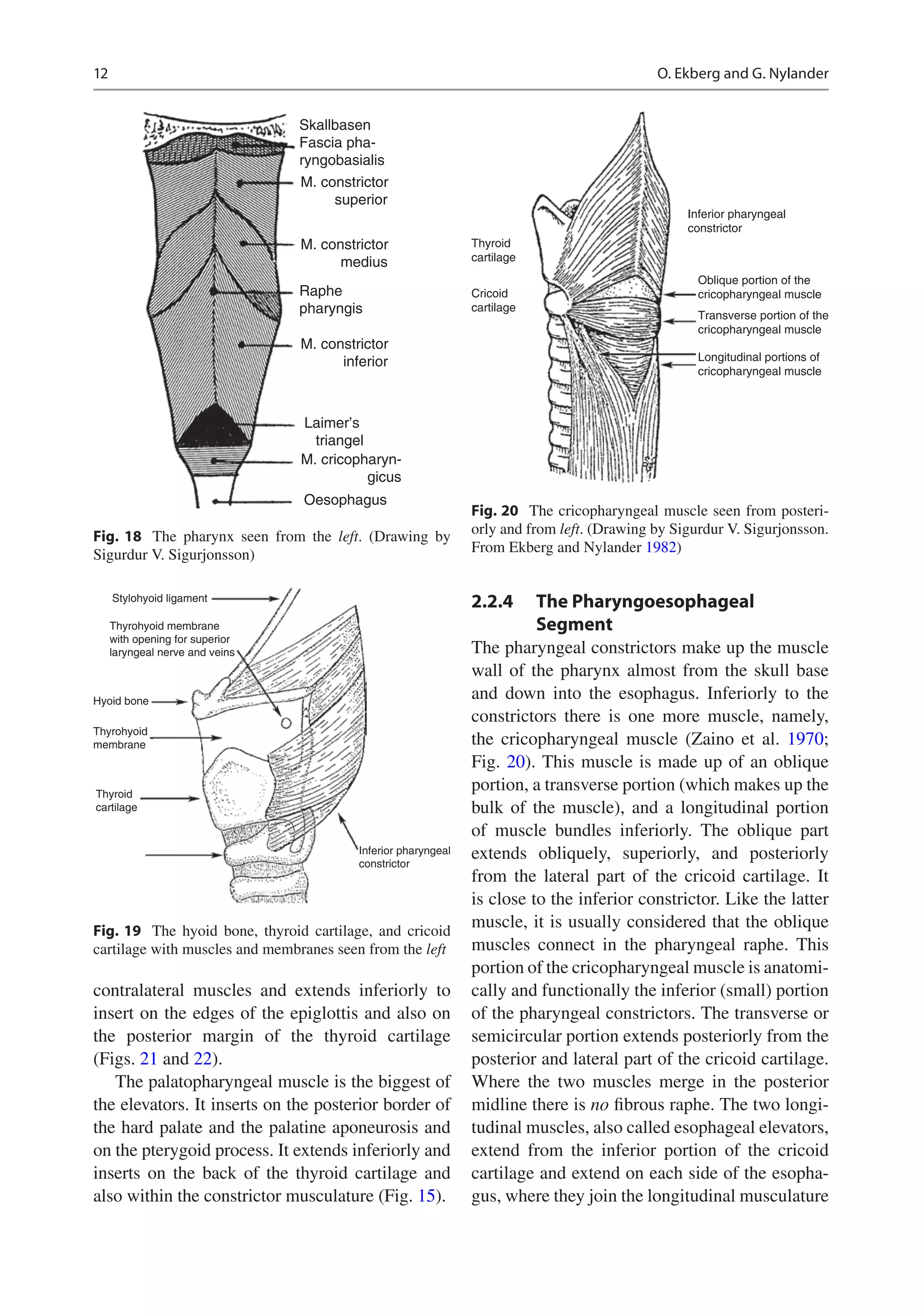 (Medical Radiology) Olle Ekberg - Dysphagia_ Diagnosis and Treatment-Springer International ...
