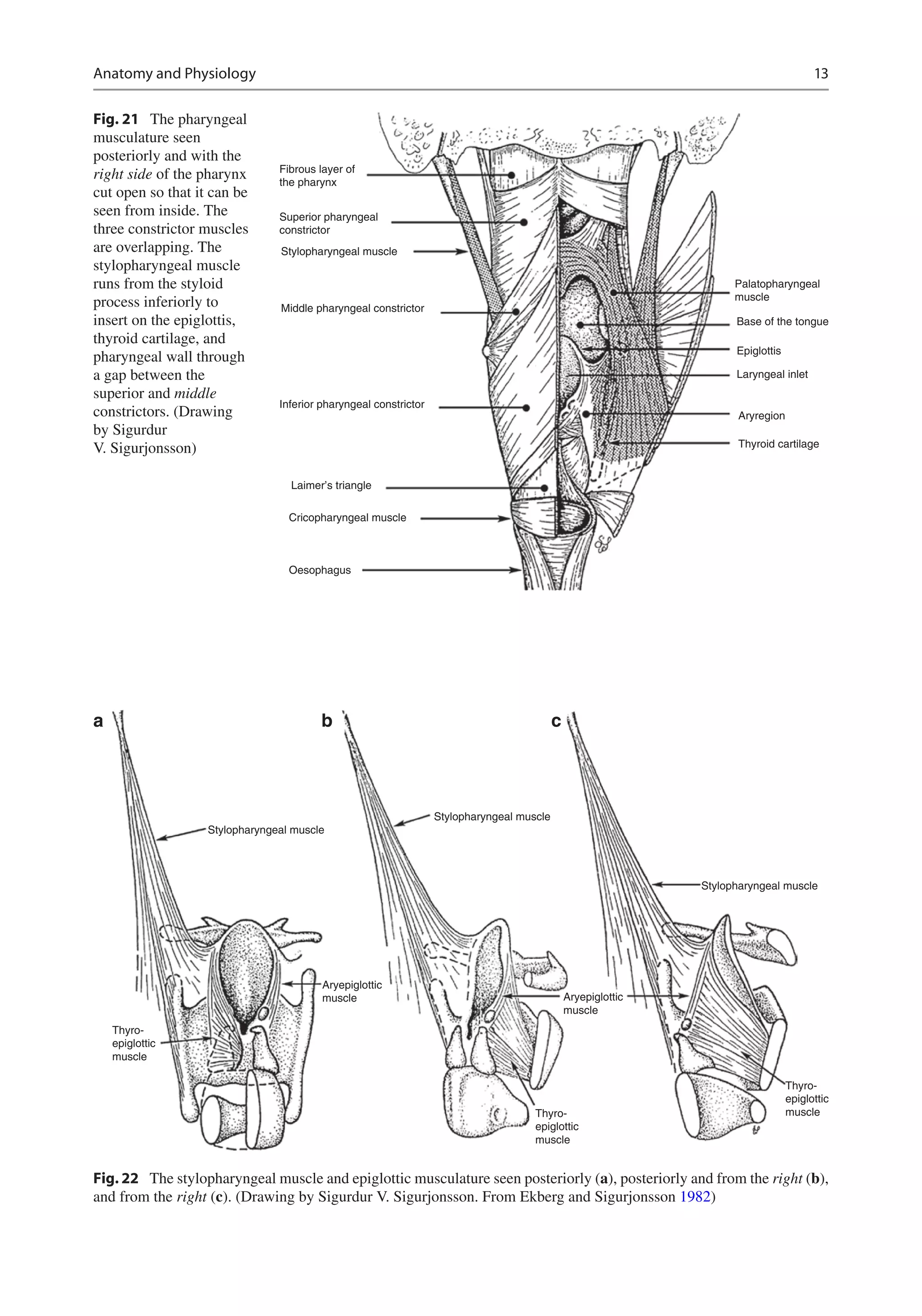 (Medical Radiology) Olle Ekberg - Dysphagia_ Diagnosis and Treatment ...