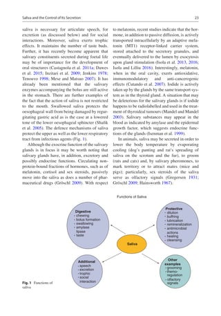 (Medical Radiology) Olle Ekberg - Dysphagia_ Diagnosis and Treatment ...