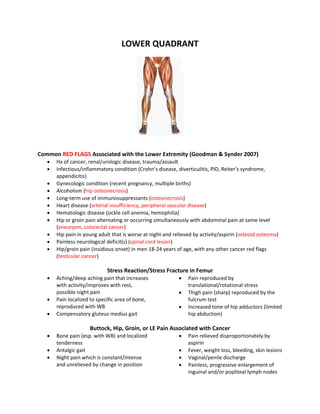 Medical Red Flags S.Houck | PDF