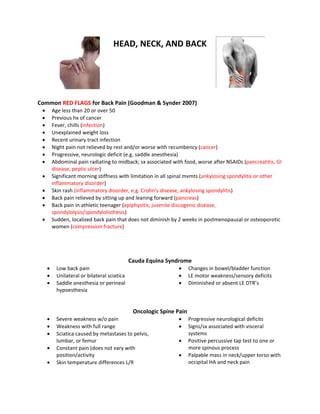 Medical Red Flags S.Houck | PDF