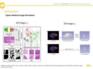 An annotation sparsification strategy for 3D medical image segmentation via representative ...