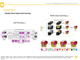 An annotation sparsification strategy for 3D medical image segmentation via representative ...