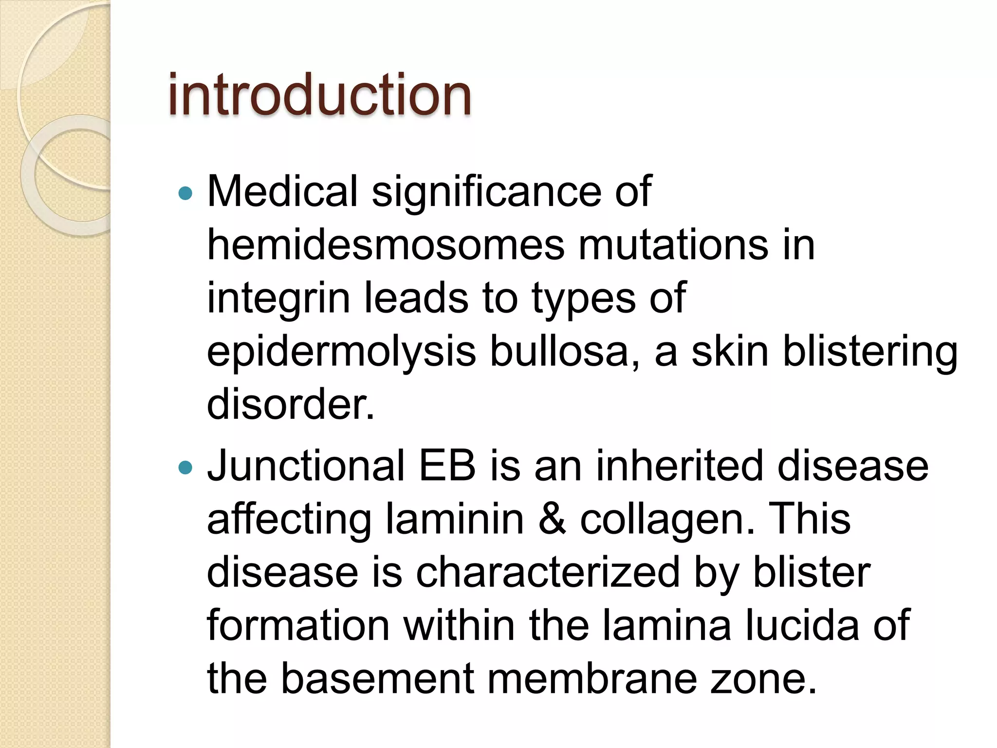 Medical significance of hemidesmosomes | PPTX