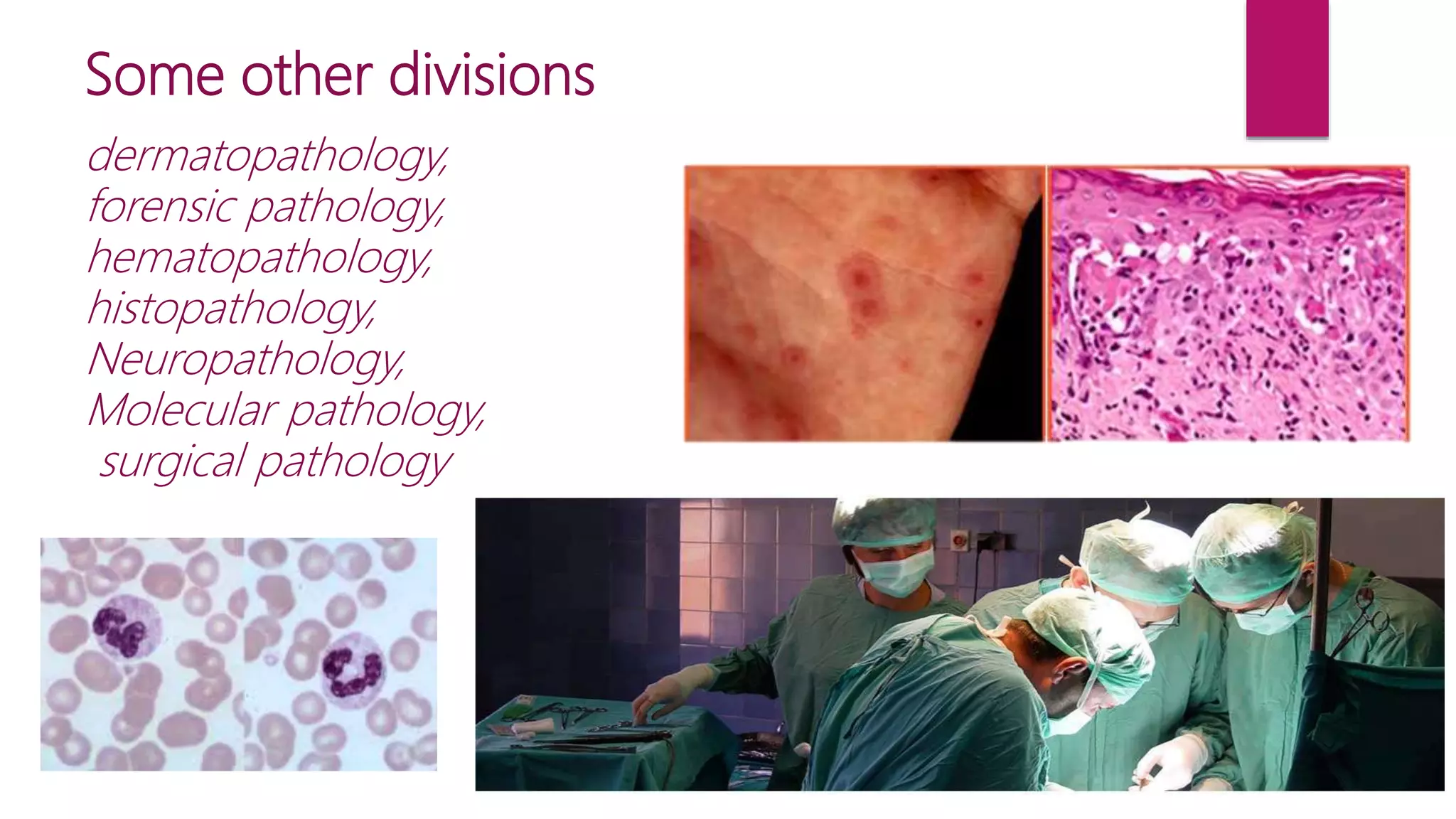 Medical specialties - Pathology | PPT