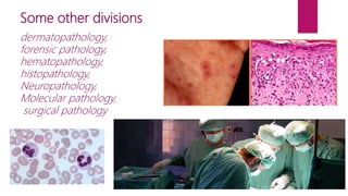 Medical specialties - Pathology | PPTX