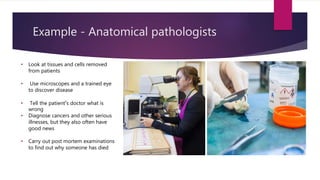 Medical specialties - Pathology | PPT
