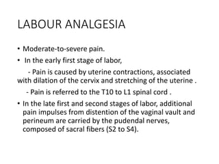 Medical student lecture Obstetric anaesthesia_074208.pptx