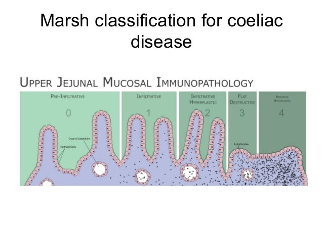 Diarrhoea - Julie Cornish