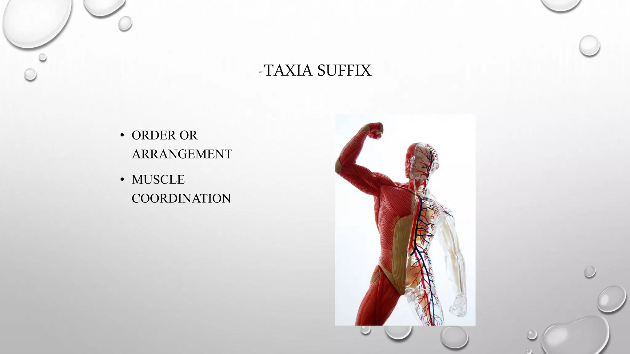 Medical suffixes pres | PPT