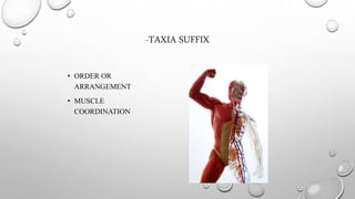 Medical suffixes pres | PPTX