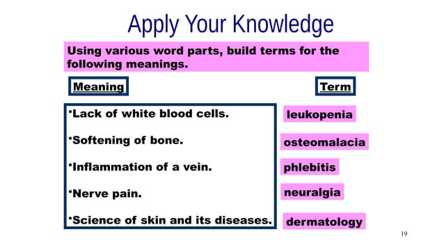 Medical Terminilogy lecture notes for students .pptx