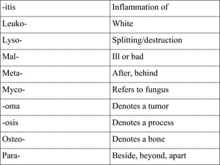 Medical Terminology | PPT