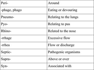 Medical Terminology | PPT