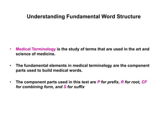 Medical Terminology | PPTX