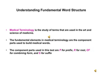 Medical Terminology | PPTX